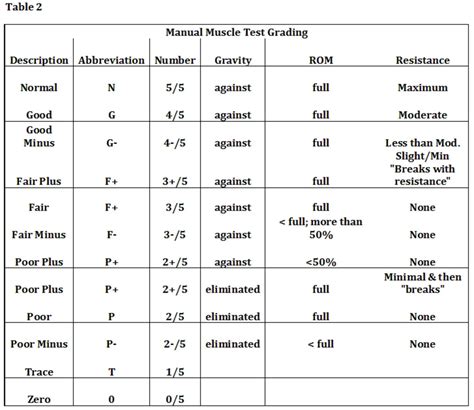 Manual Muscle Test Grading Scale