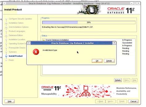 oracle enthusiasts s new world invalid block type install error 11g
