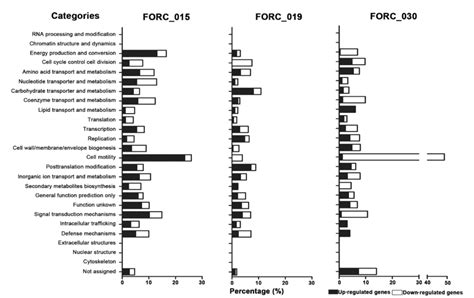Functional Categorization Of Differentially Regulated Genes Degs