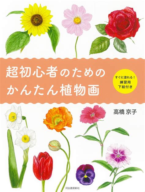 楽天ブックス 超初心者のためのかんたん植物画 高橋 京子 9784309257013 本