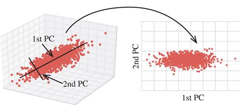 Day 10 Dimensionality Reduction With Pca And T Sne In R By
