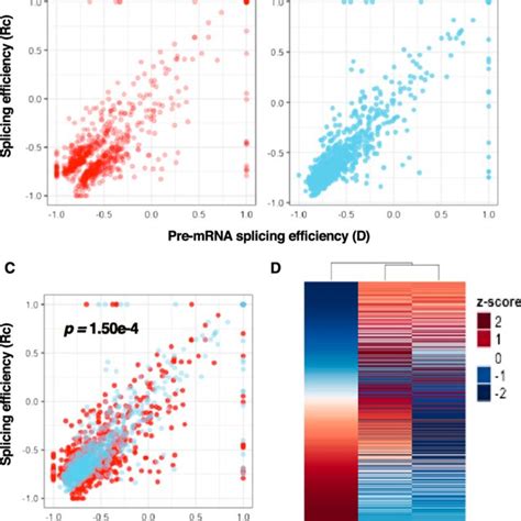 Rrc1 Is Involved In Light Regulation Of Pre Mrna Splicing Download