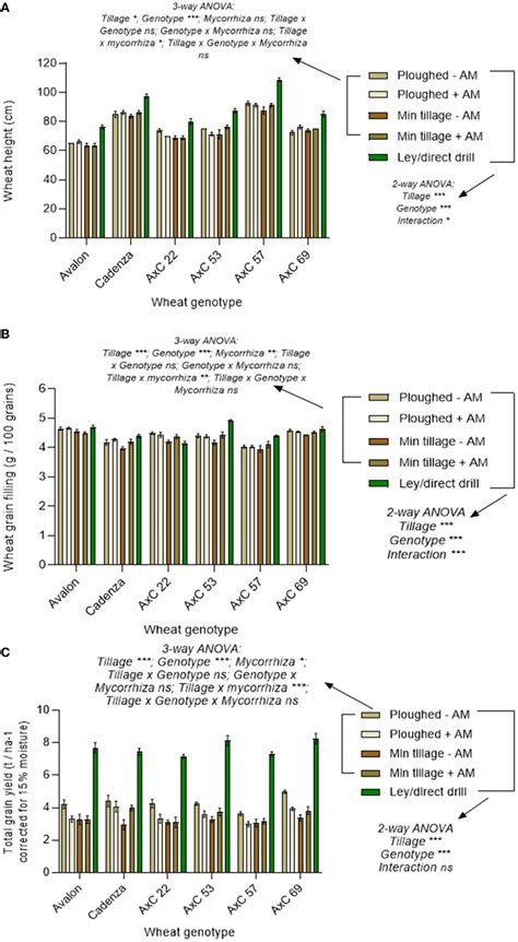 Figure Cultivation And Genotype Eeects On Wheat Yields From Mmmm