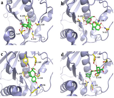 The Binding Modes Of Four Compounds In The Sapdf Binding Pocket A