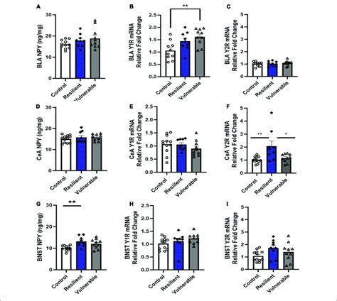 Levels Of Npy Protein Y1r Mrna And Y2r Mrna In The Bla Cea And