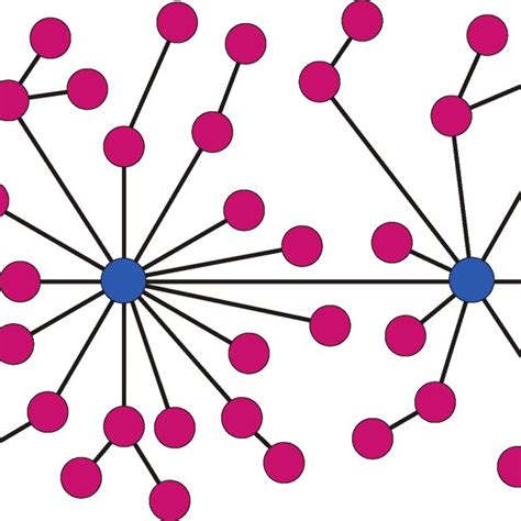 A Graph With N Nodes Where Two Star Coupled Networks Are Connected