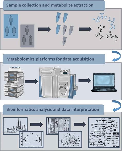 Metabolomics Workflow Download Scientific Diagram