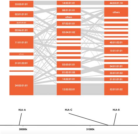 frontiers hla a 11 01 01 01 hla c 12 02 02 01 hla b 52