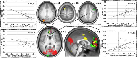 Rsfc Patterns Informative Of Voice And Face Preferentiality