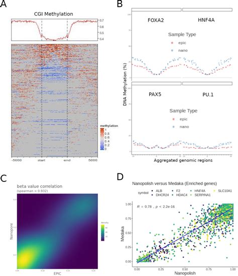 Inspection Of 5mcpg Data Obtained Using Nanopore Sequencing A Global