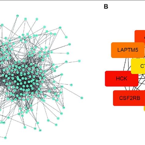 Ppi Network Of Degs And Top 10 Hub Genes A Ppi Network Of Degs