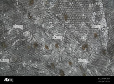 Apollo 11 Air Space Museum Fotos Und Bildmaterial In Hoher Auflösung