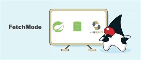 how to setup fetchmode in spring data jpa with example