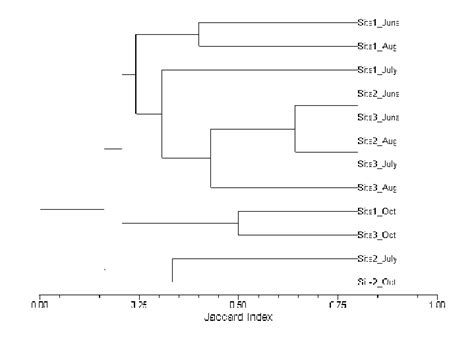 Dendrogram Constructed Using Values Of The Jaccard Similarity
