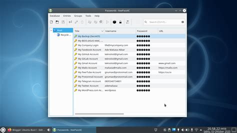How To Use Keepassxc Password Manager