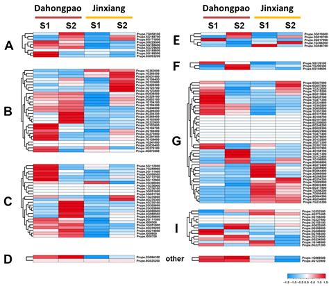 Ijms Free Full Text Genome Wide Analysis Of Atp Binding Cassette