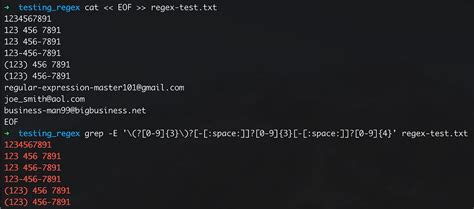 your guide to regular expressions in python and terminal by zack