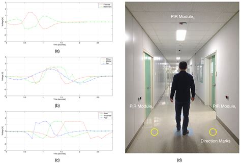 sensors free full text human movement detection and identification