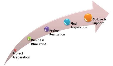 what is sap project phase