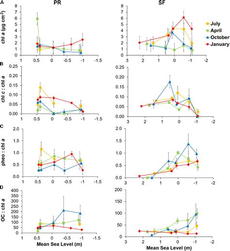 Frontiers Microbenthic Net Metabolism Along Intertidal Gradients