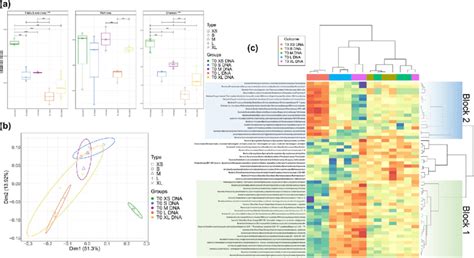 Microbial Community Analysis Of Seed Sludge A Alpha Diversity