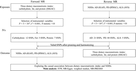 Exploring The Causal Relationship Between Dietary Macronutrients And
