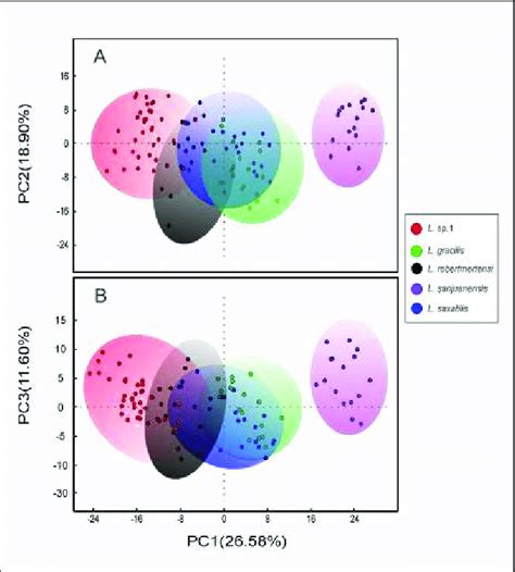 Principal Component Analyses Pca Showing Correlation Between