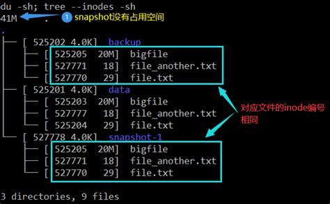 realizing the snapshot backup function of copy on write