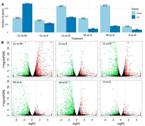 Genes Free Full Text Comparative Transcriptome Analysis Of Gene