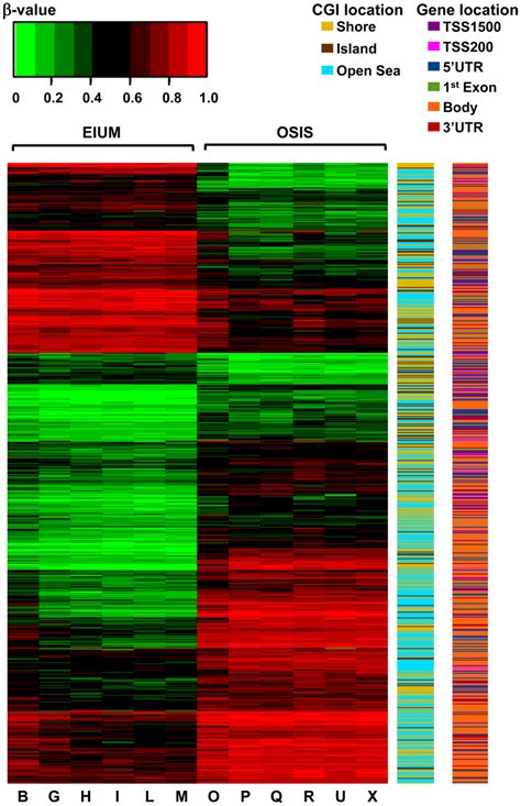 A Combined Heat Map Shows The Differential Methylation Of The 5 423