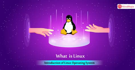 introduction to linux operating system what is linux in 2022