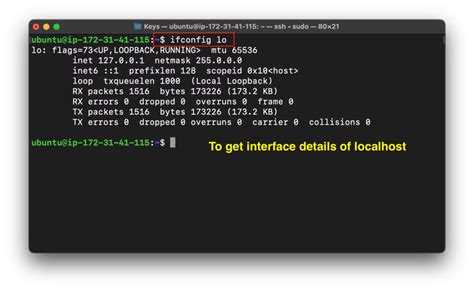 3 Easy Ways To Find Ip Address In Linux Howtouselinux