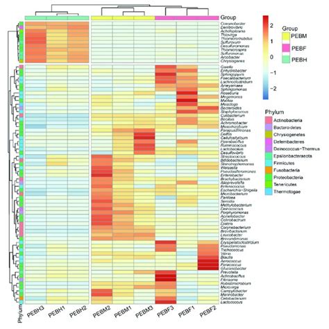 Heatmap And Dendrogram Of Abundant Bacterial Genera Relative
