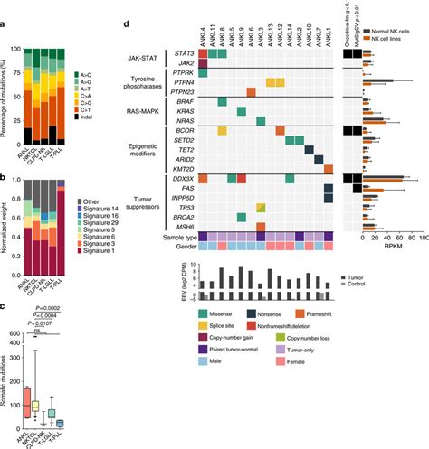 Whole Exome Sequencing In Ankl A Percentages Of Somatic Base