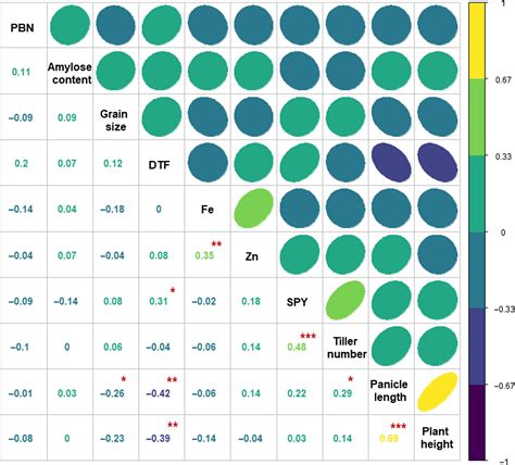 Haplotype Analysis Of Key Genes Governing Grain Yield And Quality