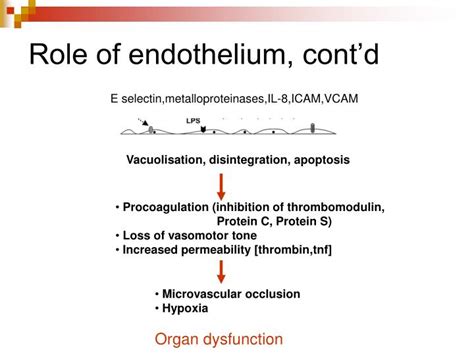 Ppt Multiple Organ Dysfunction Syndrome Powerpoint Presentation Id