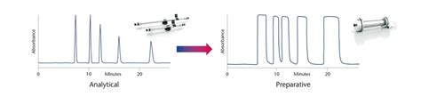 Analytical Hplc To Preparative Hplc Scale Up Techniques 60 Off