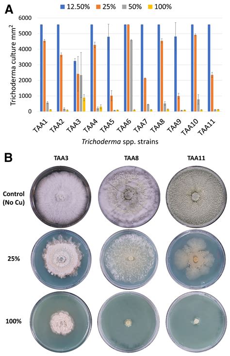 Newly Isolated Trichoderma Spp Show Multifaceted Biocontrol Strategies