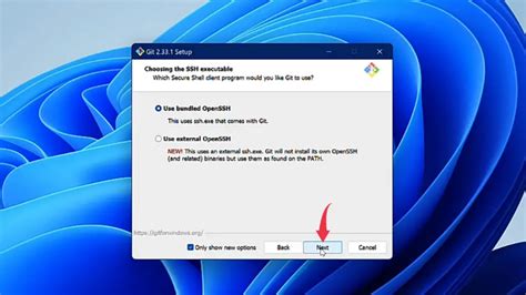 How To Install Git On Windows 11 Techdecode Tutorials