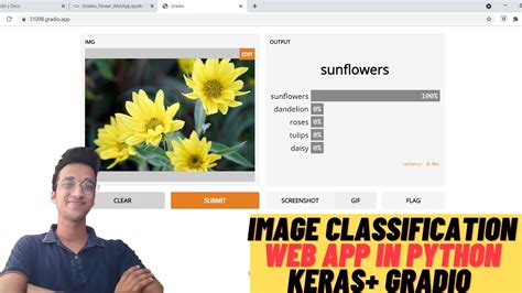 create an image classification web app using pytorch and streamlit by