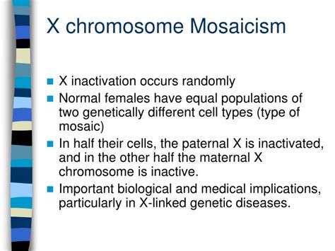 Ppt Cytogenetics Powerpoint Presentation Id 1406002