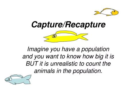 Ppt Capture Recapture Powerpoint Presentation Free Download Id 746337