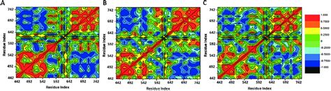 Dynamic Cross Correlation Matrices Of The Cα Fluctuations In [a