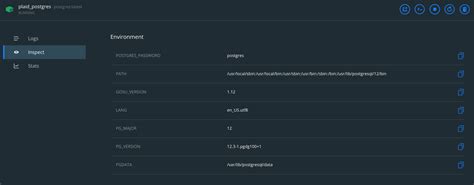 java wiring up pre existing docker container running