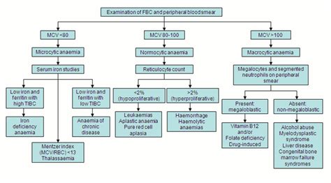 Algorithm For The Assessment Of Anaemia Online Nursing Schools