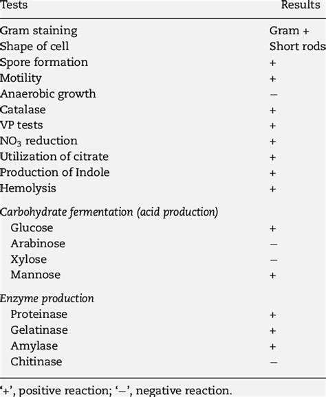 Morphological And Biochemical Characteristics Of B Subtilis R1