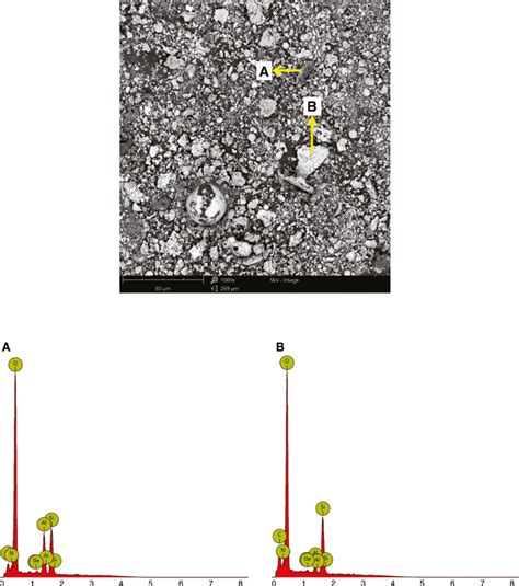 Sem Eds Analysis Of The Residual Slag After Microwave Assisted Leaching