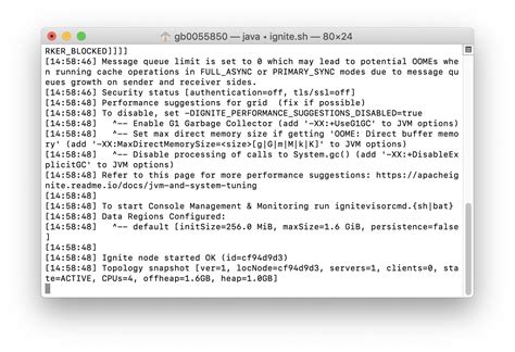 getting started with node js and apache ignite dzone integration