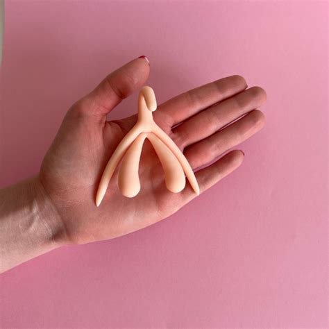 Clitóris 3d Modelo Anatómico Educativo Hi Pleasure