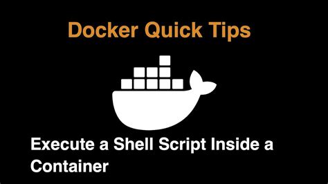 execute a shell script inside a docker container youtube